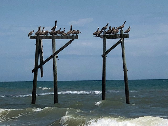 HOME - Village of Stump Sound Home Owners Association