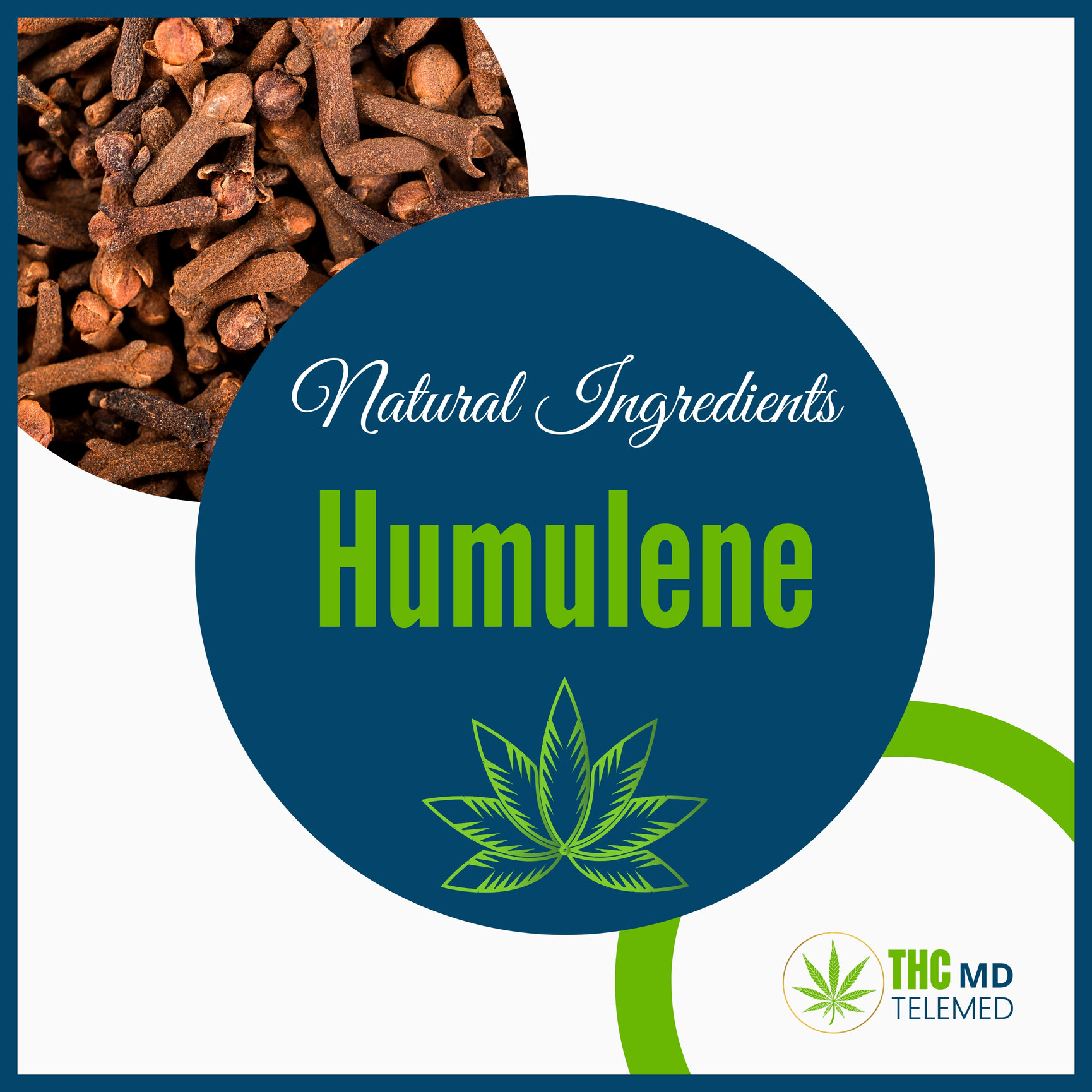 Natural Ingredient Humulene Terpenes - THCMD TELEMED